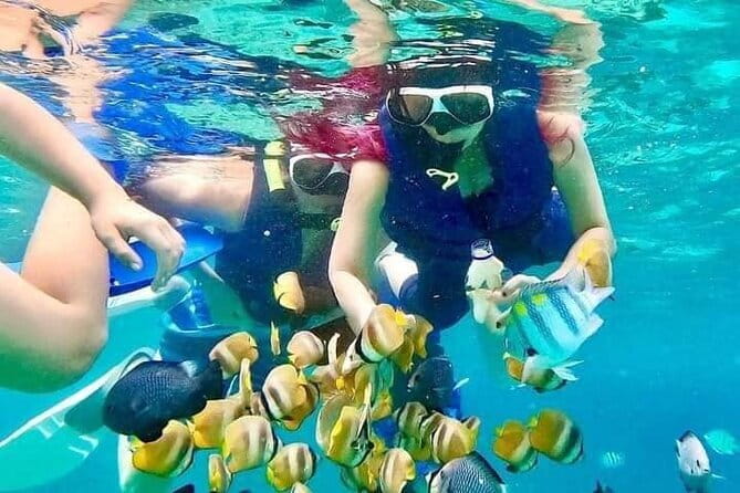 Monkey Bar and snorkling adventure at blue lagoon. - The Monkey Bar at Bella Vista: Scenic Relaxation