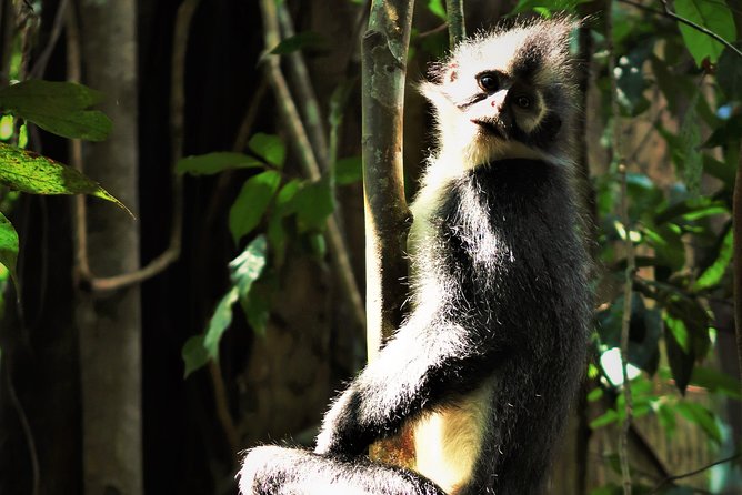 Monkey Business 2 days - 1 night Jungle Trekking (including rafting) - Final Thoughts