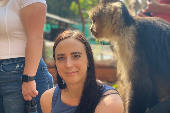 Monkey, Crocodile, Sloths & Beach Experience - Unique Wildlife Encounters