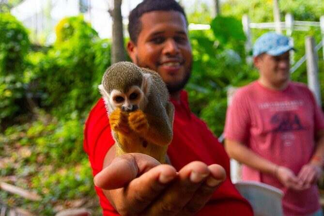 Monkey Enconter & Zip line Adventure - Introducing the Monkey Encounter & Zipline Adventure