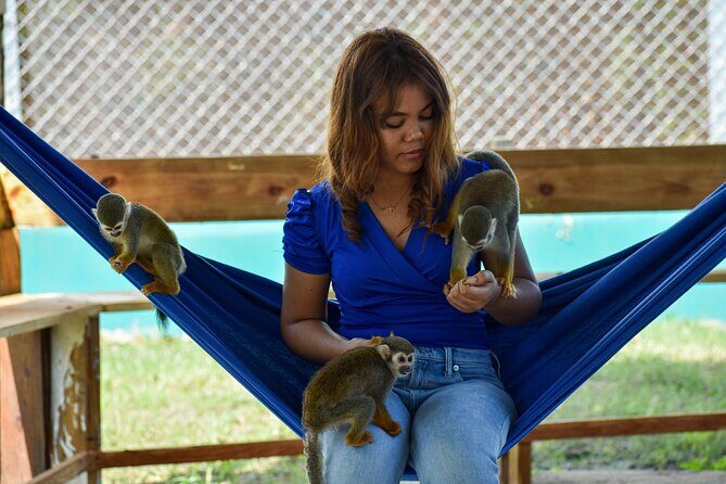 Monkey Encounter and Horse-Riding Tour in Puerto Plata - FAQ