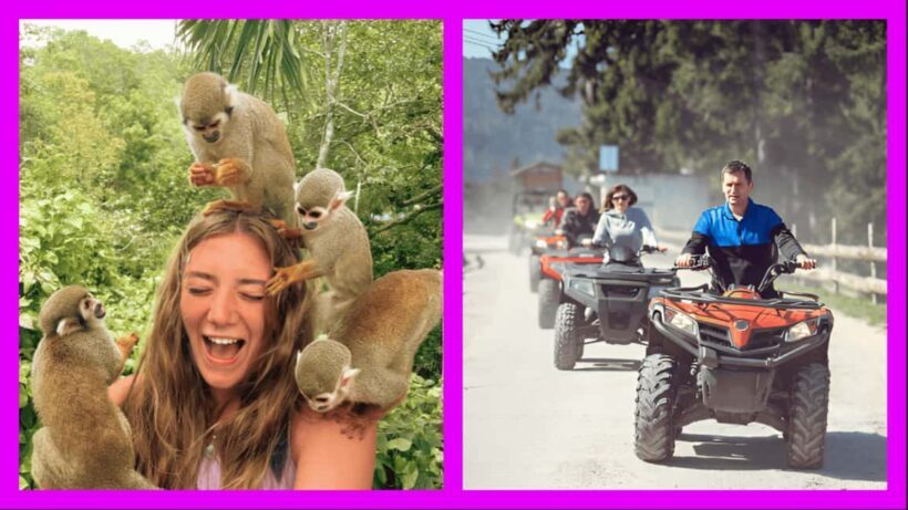 Monkey Encounter + ATV Riding Adventure  Puerto Plata - Key Points