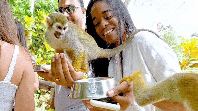 Monkey Encounter + ATV Riding Adventure  Puerto Plata - The Value of This Tour