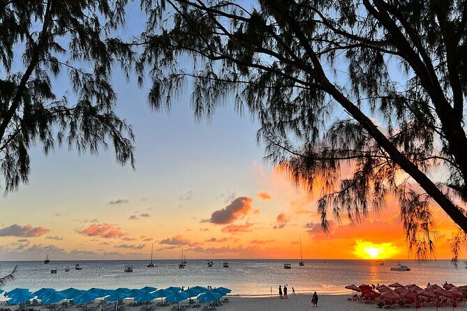 Monkey Feeding And Beach Day In Barbados - FAQ