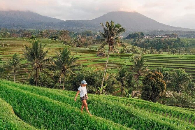 Monkey Forest, Jatiluwih and Temple in Jungle Private Tour - Jatiluwih Rice Terraces: Bali’s UNESCO Heritage Site