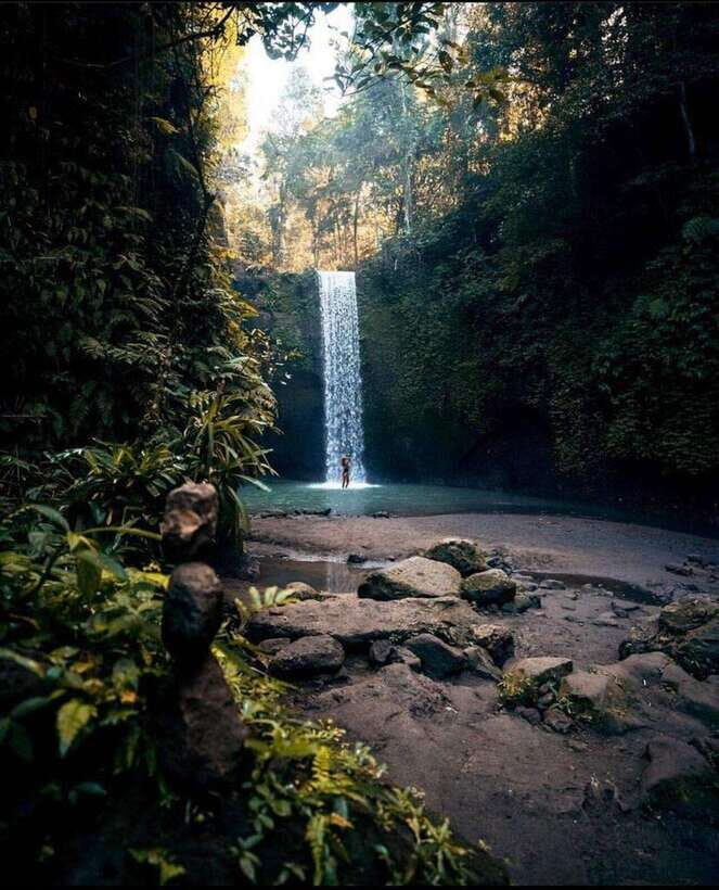 Monkey Forest, Kanto Lampo, Waterfall, Temple & Rice Terrace - Key Points