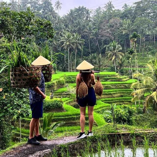 Monkey Forest, Kanto Lampo, Waterfall, Temple & Rice Terrace - The Value of the Experience
