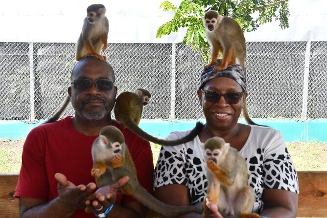 Monkey Home Puerto Plata Countryside Tour - Who Should Consider This Tour?