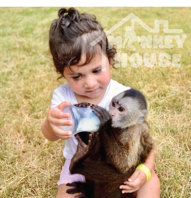 Monkey House VIP  An exclusive experience in Punta Cana - Key Points