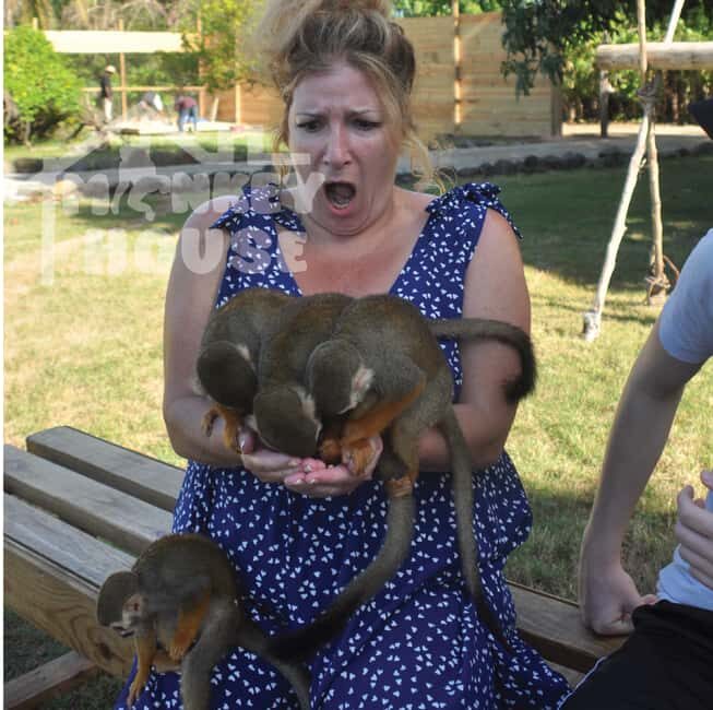 Monkey House VIP  An exclusive experience in Punta Cana - What Makes This Tour Special?