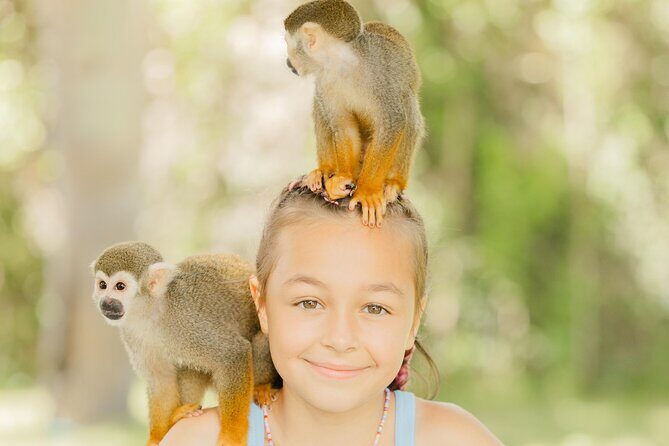 Monkey House VIP Experience with 4 species of monkeys, Punta Cana - What to Expect from the Monkey House VIP Experience