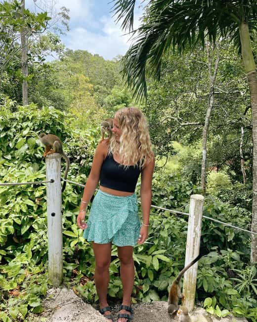 Monkey jungle tour + Transportation from cruise/hotel - A Practical Guide to the Monkey Jungle Tour