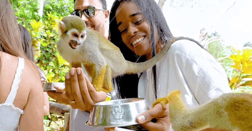 Monkey jungle tour + Transportation from cruise/hotel - The Sum Up