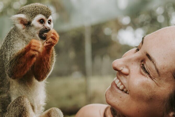 Monkey Jungle with Zip line - Key Points