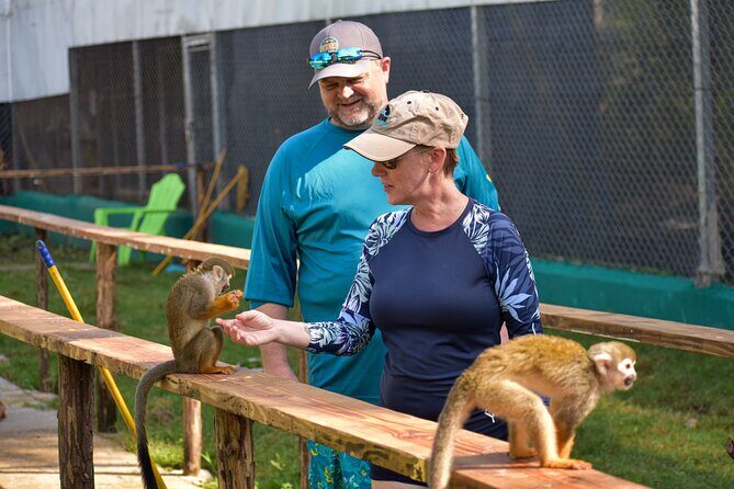 Monkey Mania Puerto Plata - Introduction: What to Expect from Monkey Mania Puerto Plata