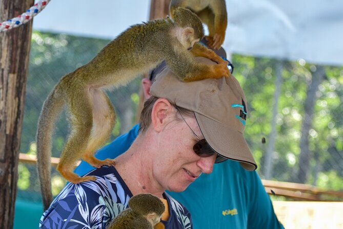 Monkey Mania Puerto Plata - Detailed Breakdown of the Itinerary