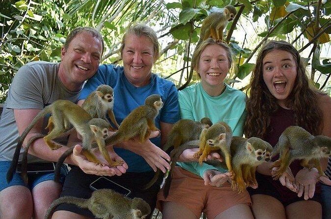 Monkey Mania Puerto Plata - Price and Value