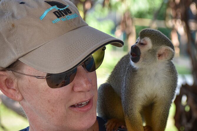 Monkey Mania Puerto Plata - The Sum Up: Who Should Book Monkey Mania Puerto Plata?