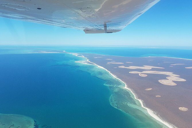 Monkey Mia Dolphins & Shark Bay Air Tour From Perth - What Travelers Say (Based on Reviews)