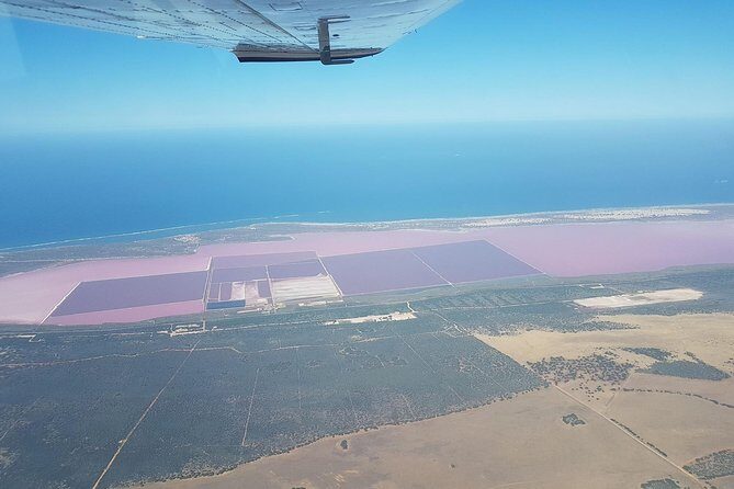 Monkey Mia Dolphins & Shark Bay Air Tour From Perth - FAQs