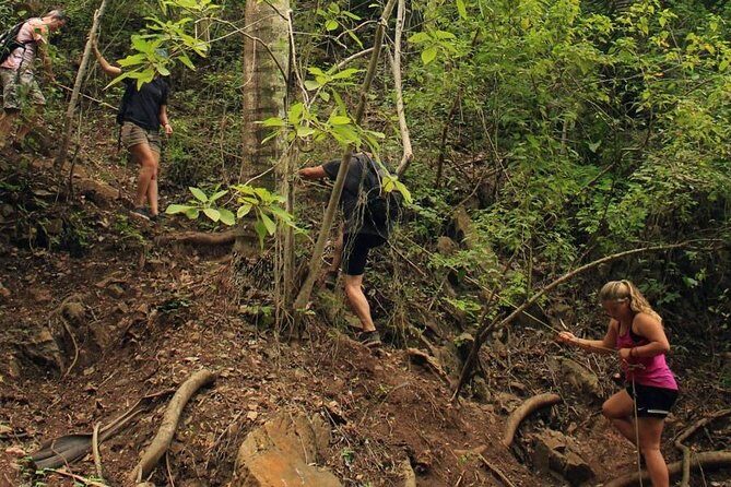 Monkey Mountain Jungle Hike Adventure - Who Will Love This Tour?