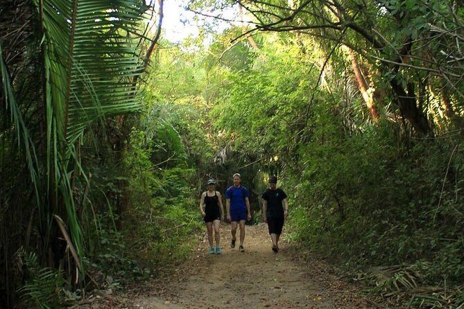 Monkey Mountain Jungle Hike Adventure - Final Thoughts