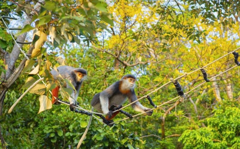 Monkey Mountain, Marble Mountain, Basket Boat, Hoi An City - FAQ