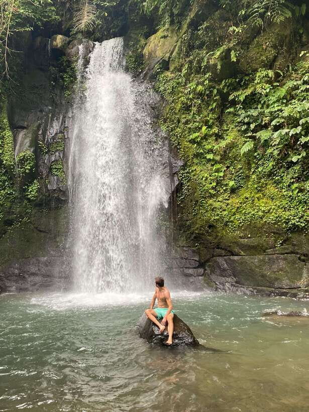 Monkey River, Ubud Market, Waterfall and Art Village - Overview of the Tour Experience