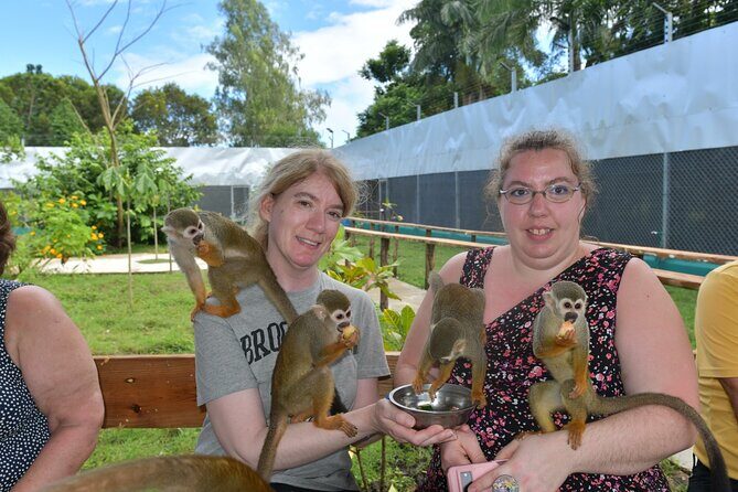 Monkey Tour Interaction and Damajagua waterfalls in Puerto Plata. - An In-Depth Look at the Tour Experience