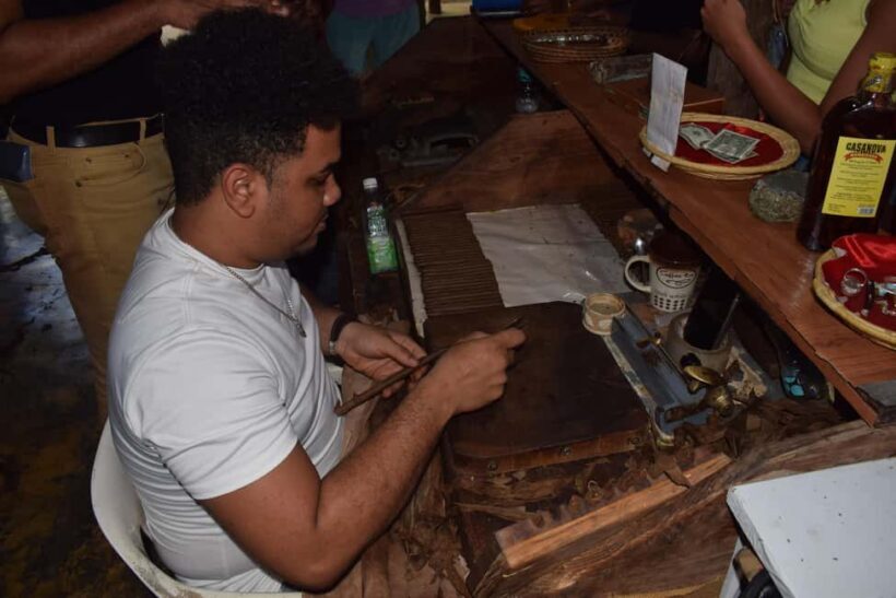 Monkey Tour Interaction and Historic Center (Puerto Plata) - Authentic Insights and Reviews