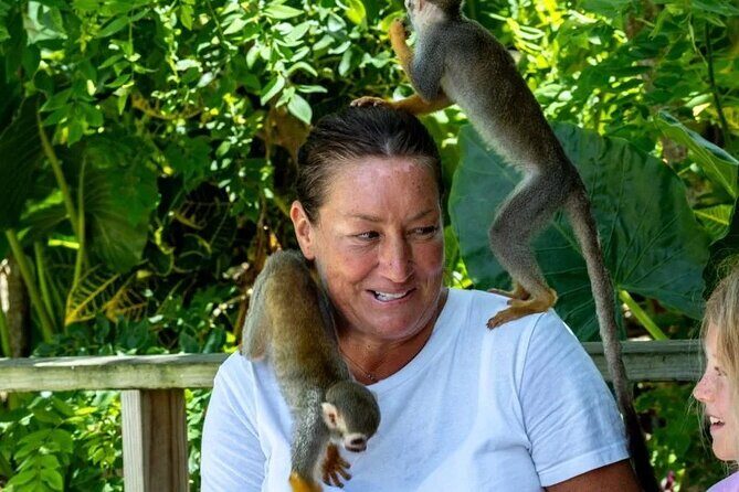 Monkeyhouse Adventure: A Family Day of Fun & Nature - An Overview of the Monkeyhouse Adventure Experience