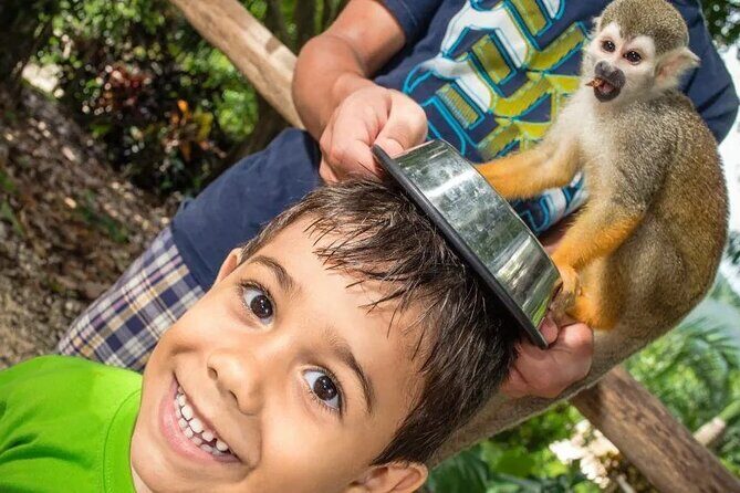 Monkeyhouse Adventure: A Family Day of Fun & Nature - The Sum Up: Who Should Consider This Tour?