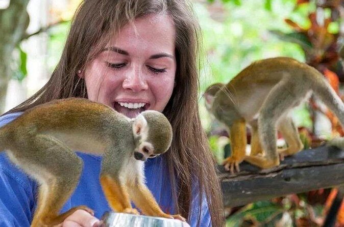 Monkeyhouse Adventure: A Family Day of Fun & Nature - FAQ