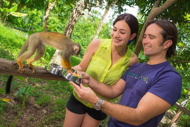 Monkeyland and Plantation Safari from La Romana - The Sum Up