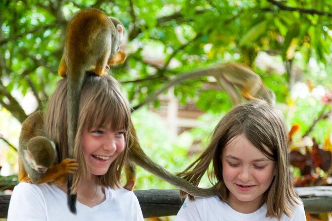 Monkeyland and Plantation Safari Tour from Punta Cana - Some Considerations for Travelers