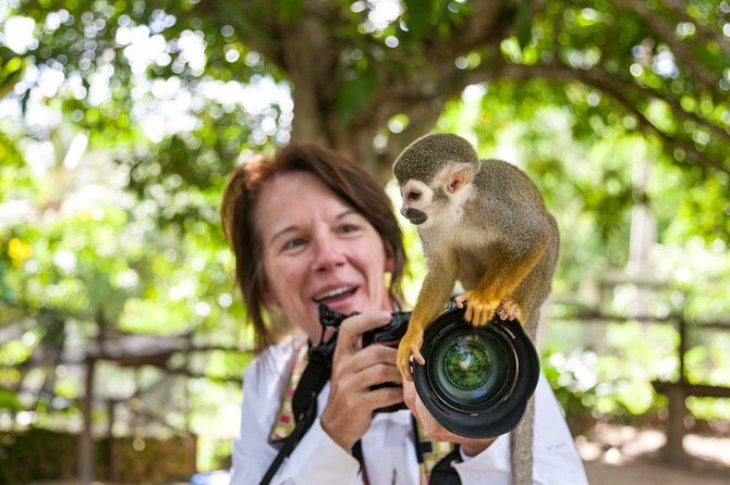 Monkeyland and Plantation Safari Tour from Punta Cana - FAQ