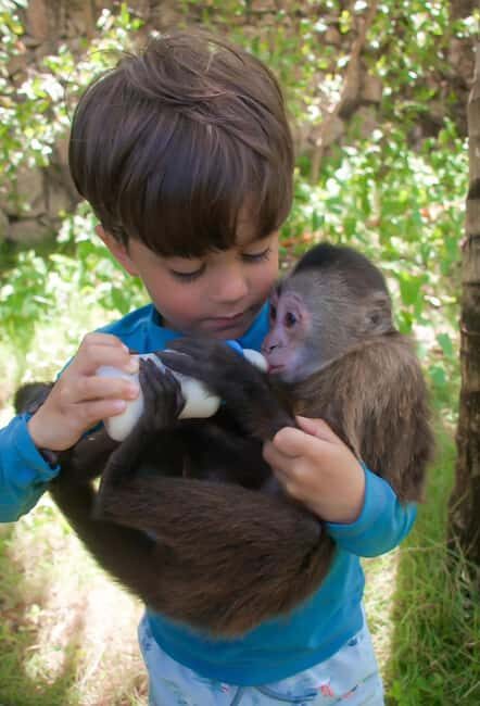 Monkeyland and Plantation Tour from Puerto plata - Key Points