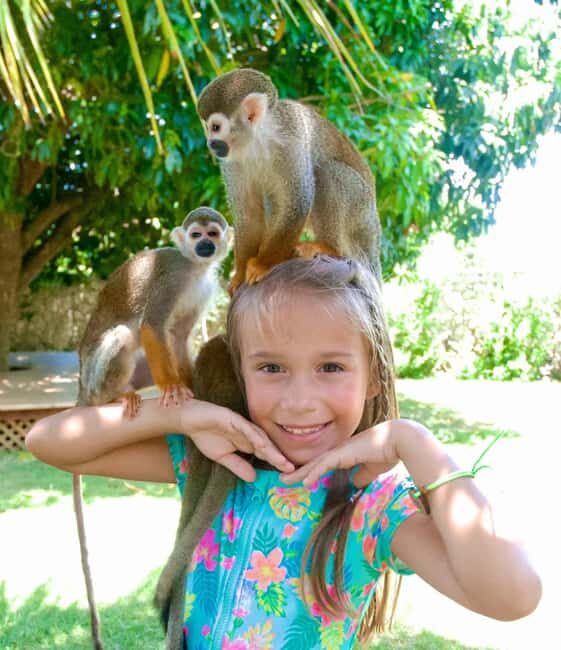 Monkeyland and Plantation Tour from Puerto plata - FAQ