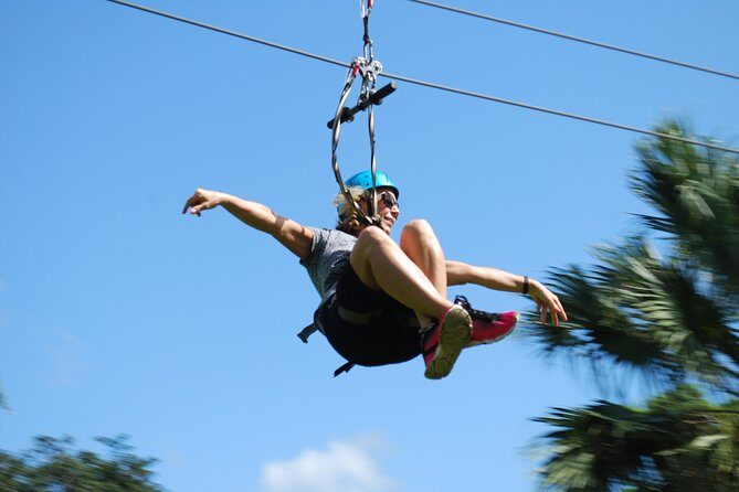 Monkeyland and Zipline Adventure from Puerto Plata - Key Points
