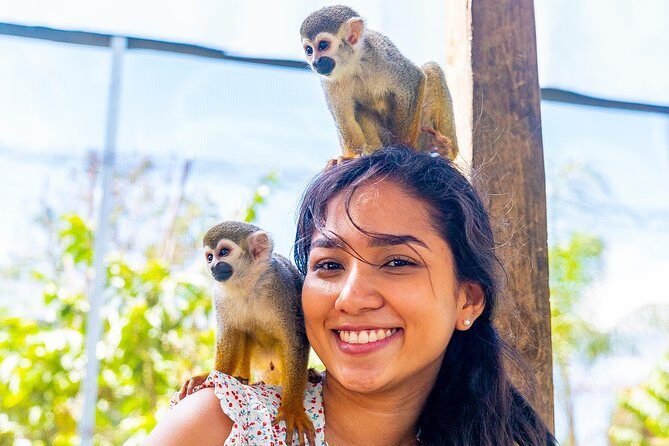 Monkeyland Puerto Plata - The Sum Up: Is It Worth Your Time and Money?