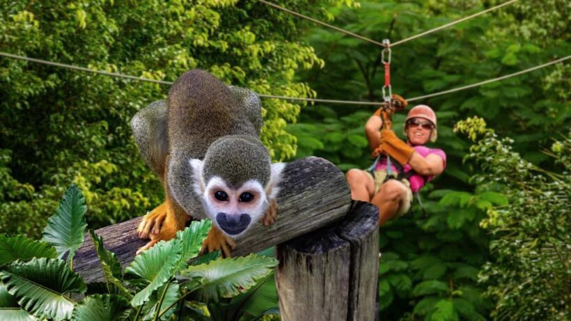 Monkeyland Punta Cana Natural Jungle and Guided Safari Tour - Practical details and considerations