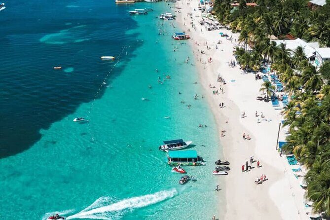 Monkeys and sloths, private tour , and beach - Introduction