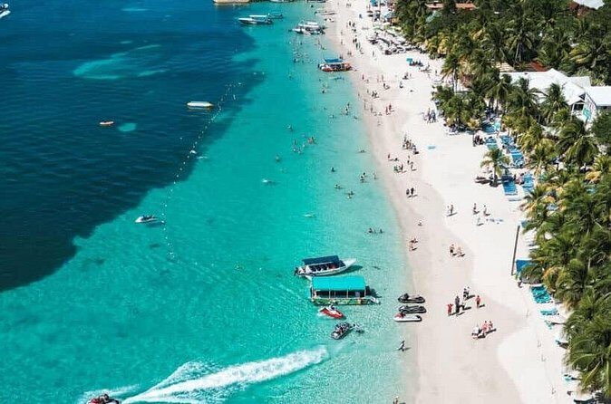 Monkeys and sloths, private tour , and beach - The Sum Up