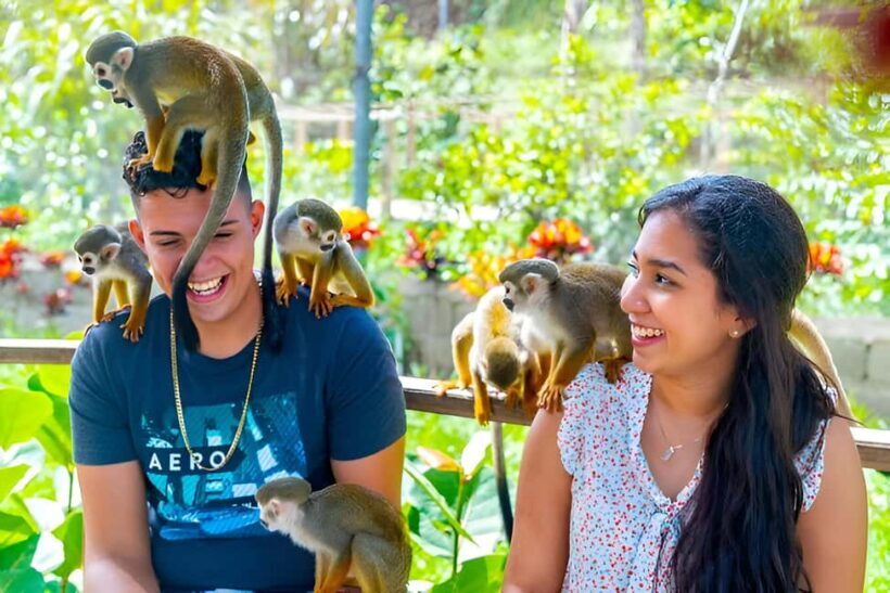 Monkeys and Snorkel Adventure in Sosúa, Puerto Plata - FAQ