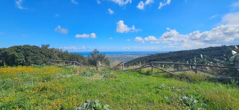Monopoli: E-Bike Ride to Olive Valley with Seafood Snack - Key Points