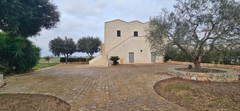 Monopoli: E-Bike Ride to Olive Valley with Seafood Snack - Who Will Love This Tour?