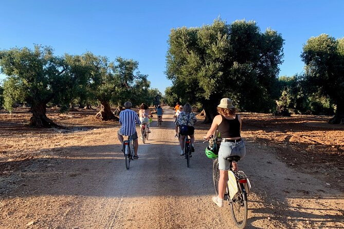 Monopoli's Countryside by Bike - Final Thoughts: Who Will Love This Tour?