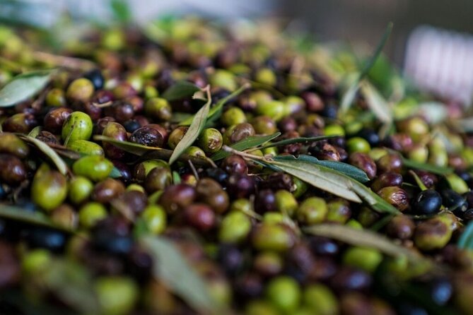 Monopoli's Countryside by Bike - FAQ