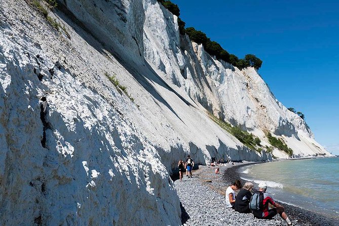 Møns Klint and the Forest Tower - a Day Tour From Copenhagen - Ascending the Forest Tower