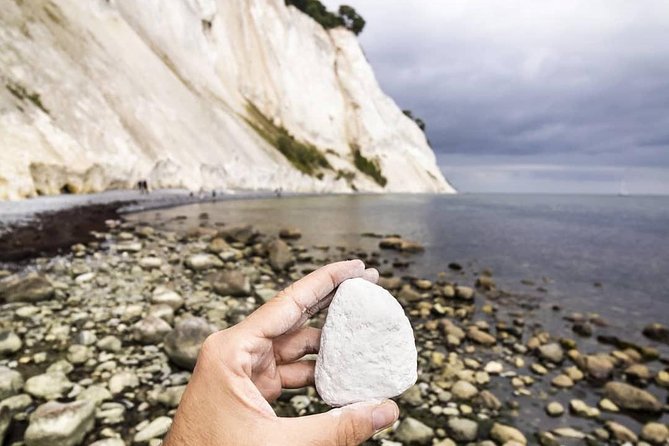 Møns Klint and the Forest Tower - a Day Tour From Copenhagen - Inclusion and Cost